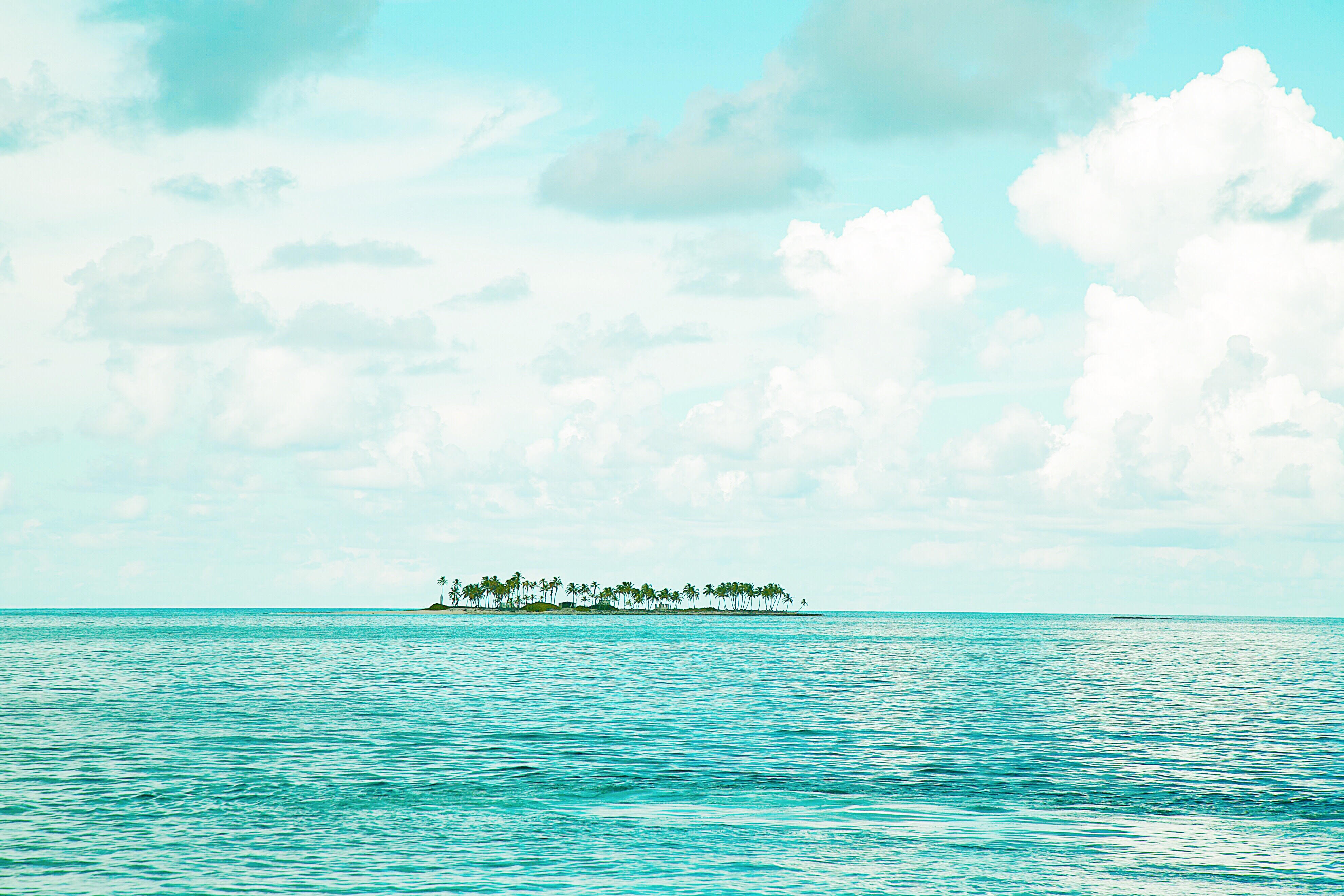 A Mermaid Guide To Rose Island