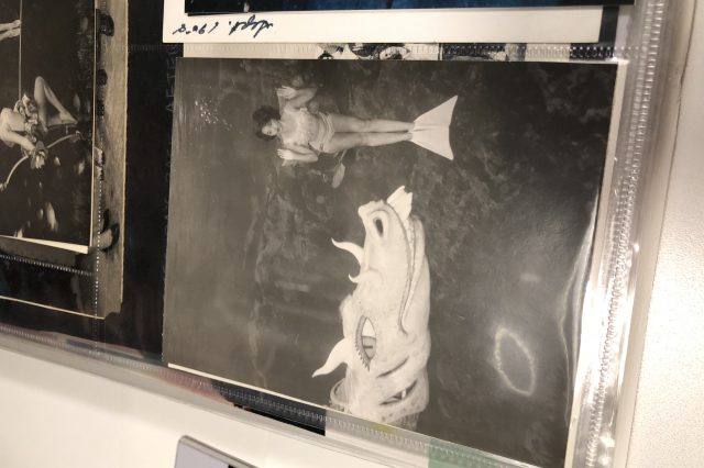 Mermaid Vicki, A Legendary Siren at Age 78 - Cinderly